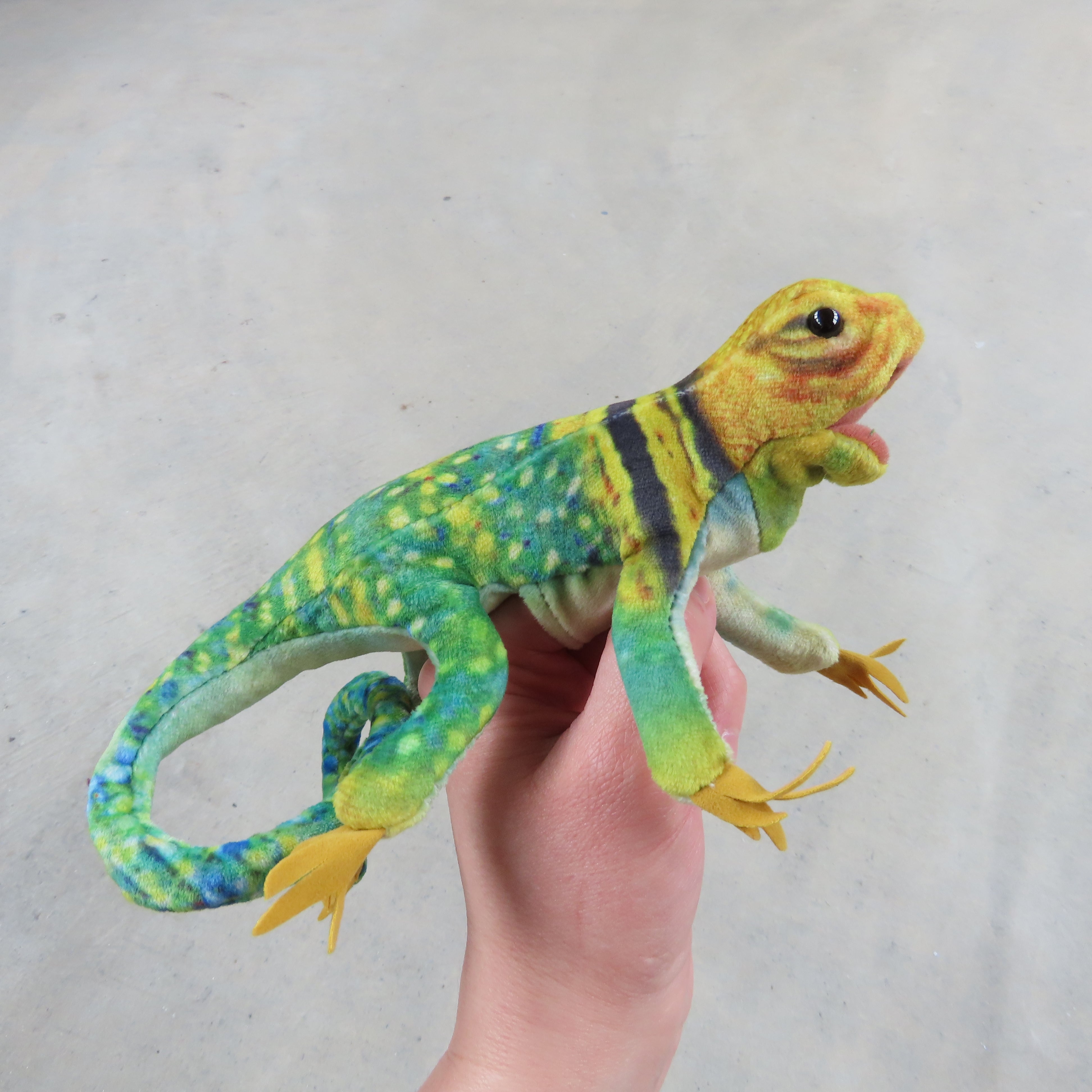 Finger Puppet: Mini Collared Lizard – MASS MoCA